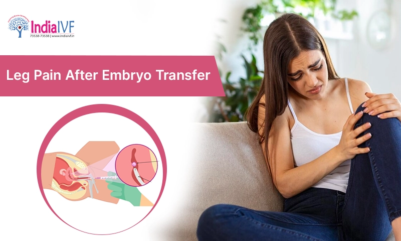Leg Pain After Embryo Transfer - Causes and Treatments | India IVF