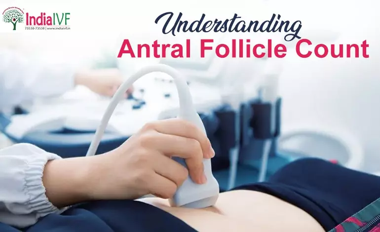 Decoding Antral Follicle Count: Your Guide to Understanding AFC