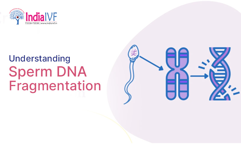 Sperm DNA Fragmentation: A Comprehensive Guide by India IVF Fertility
