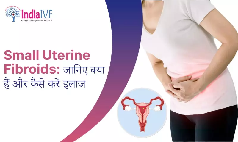 Small Uterine Fibroids: जानिए क्या हैं और कैसे करें इलाज