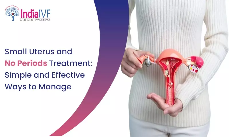 Small Uterus and No Periods Treatment: Simple and Effective Ways