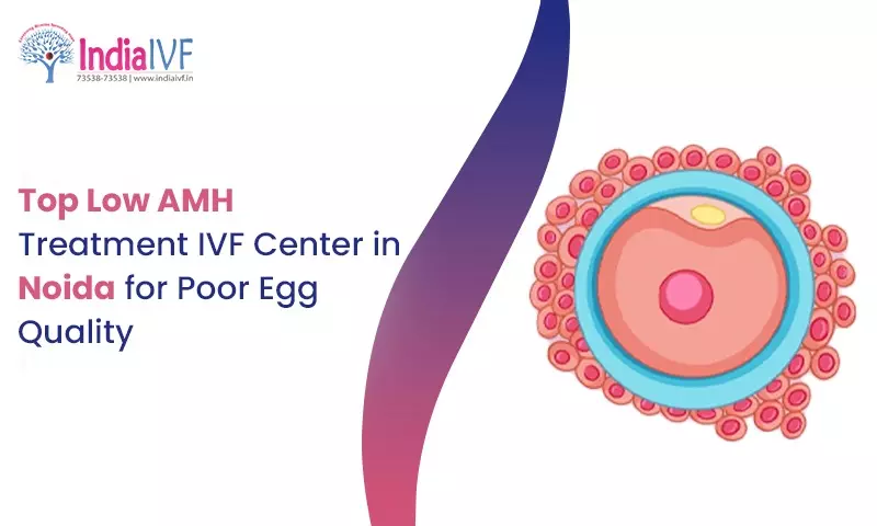 Top Low AMH Treatment IVF Center in Noida: India IVF Fertility
