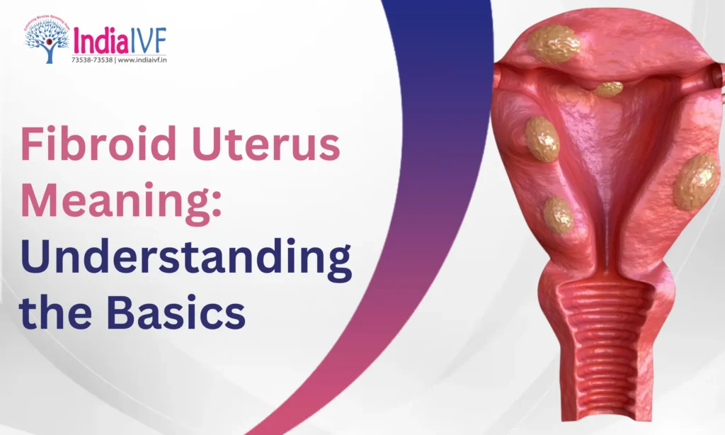 Fibroid Uterus Meaning | What You Need to Know
