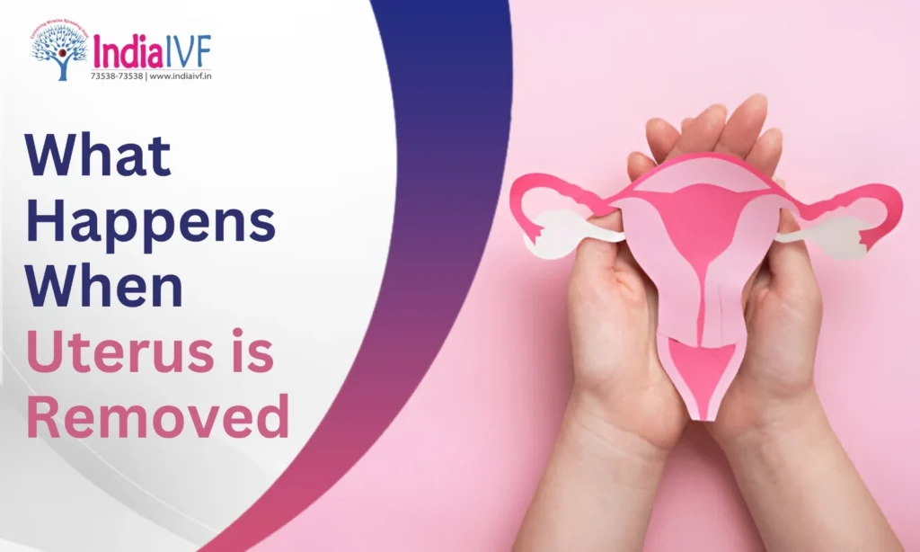 What Happens When Uterus is Removed | India IVF Fertility Clinic
