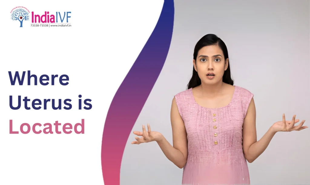 Where Uterus is Located | India IVF Fertility Clinic