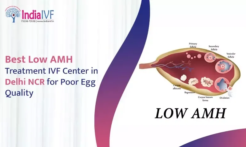 Best Low AMH Treatment IVF Center in Delhi NCR for Poor Egg Quality