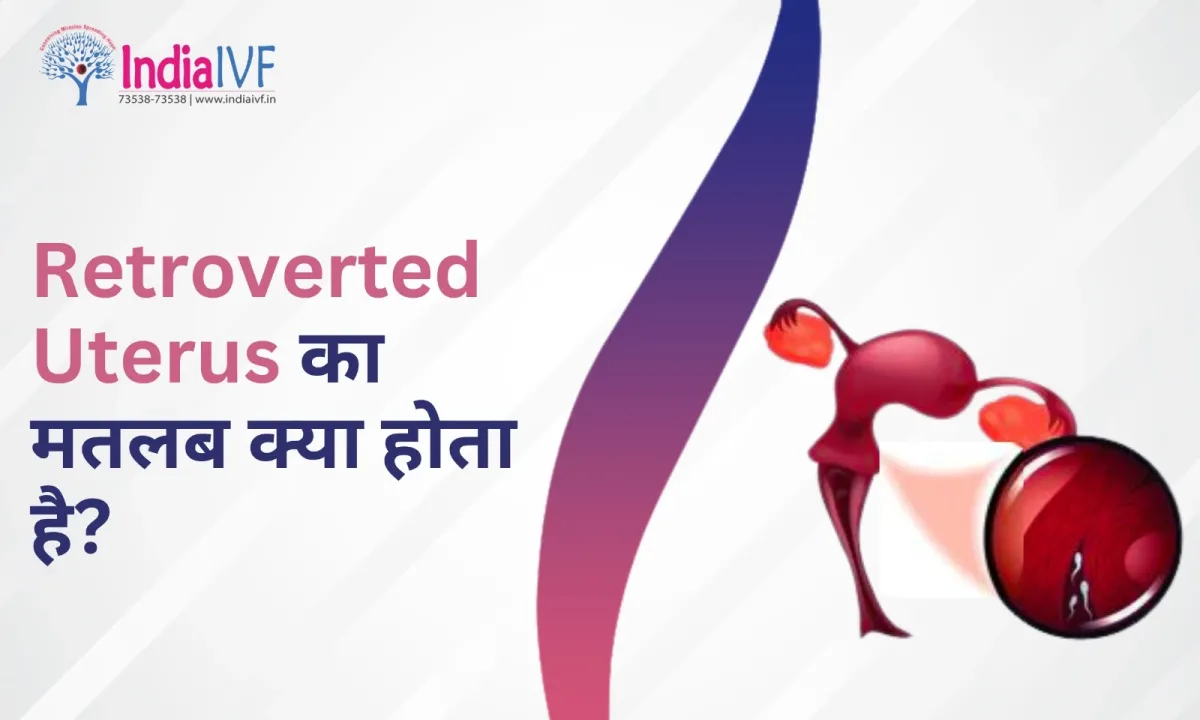 Retroverted Uterus का मतलब क्या होता है? - Retroverted Uterus को समझना ...