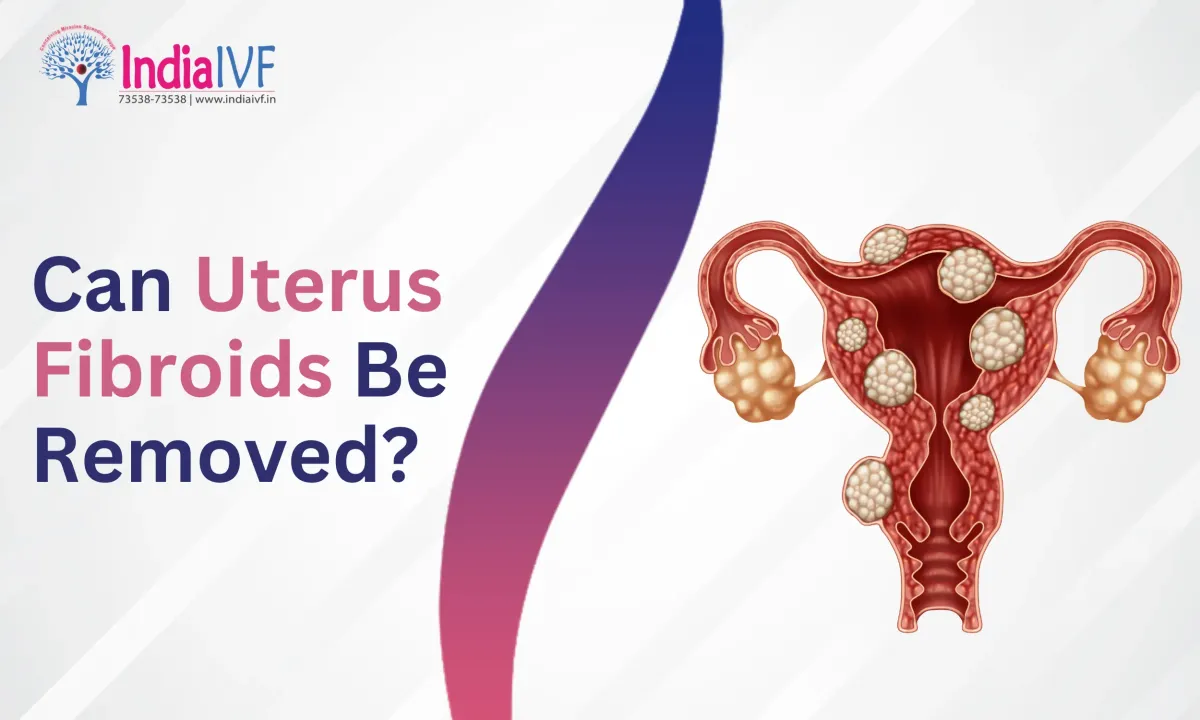 Can Uterus Be Removed? | Understanding How Uterus Removal is Done