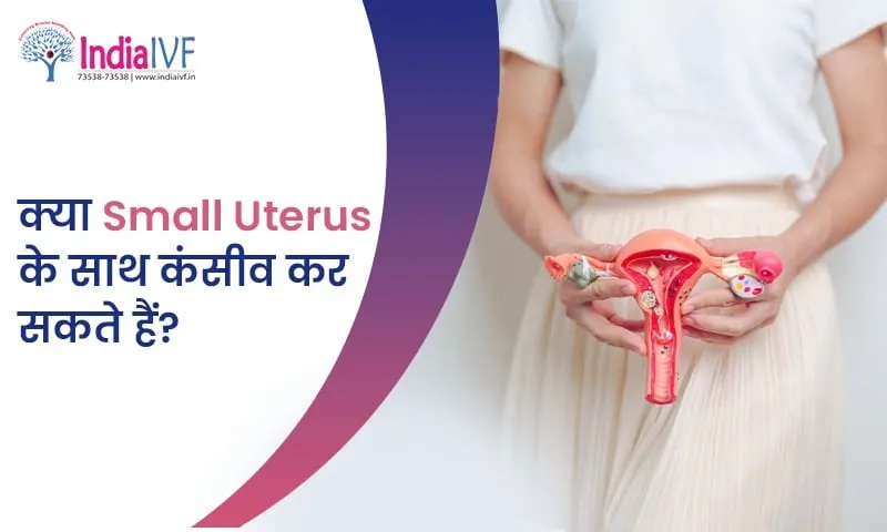 क्या Small Uterus के साथ कंसीव कर सकते हैं? संभावनाओं को समझें | India ...