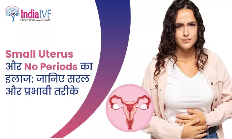 Small Uterus और No Periods का इलाज: जानिए सरल और प्रभावी तरीके | India ...