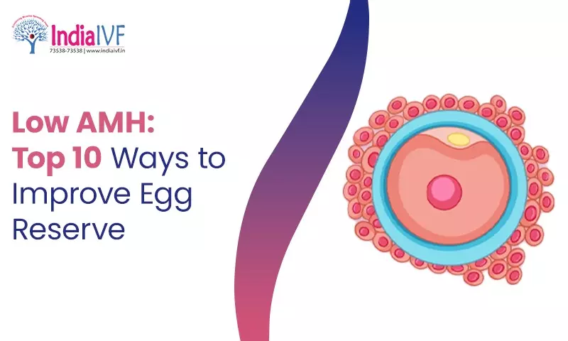 Low AMH: Top 10 Effective Ways to Improve Egg Reserve - India IVF