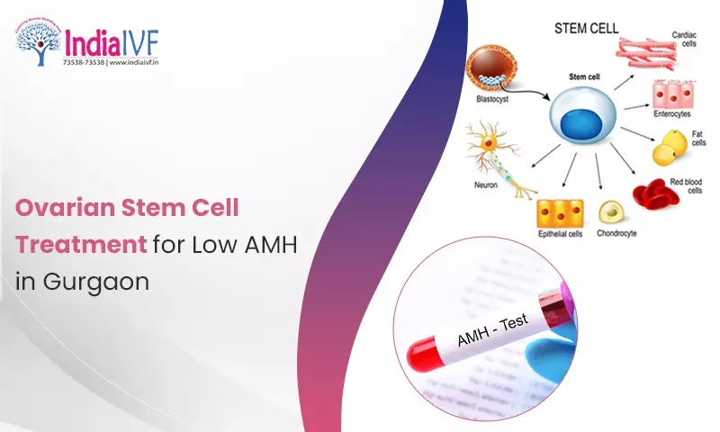 Ovarian Stem Cell Treatment for Low AMH in Gurgaon | India IVF Fertility