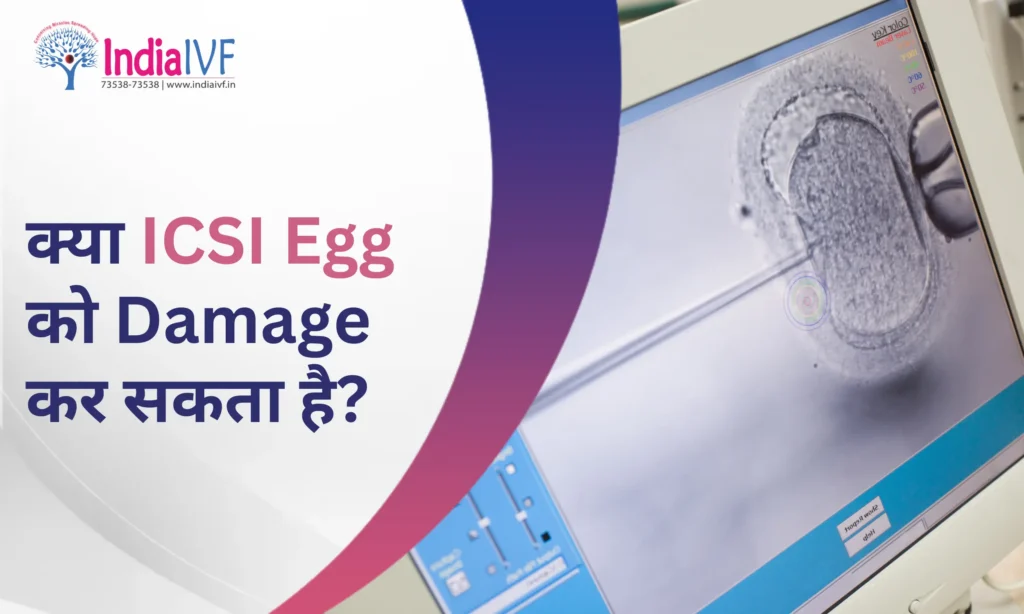 क्या ICSI Egg को Damage कर सकता है? | India IVF Fertility